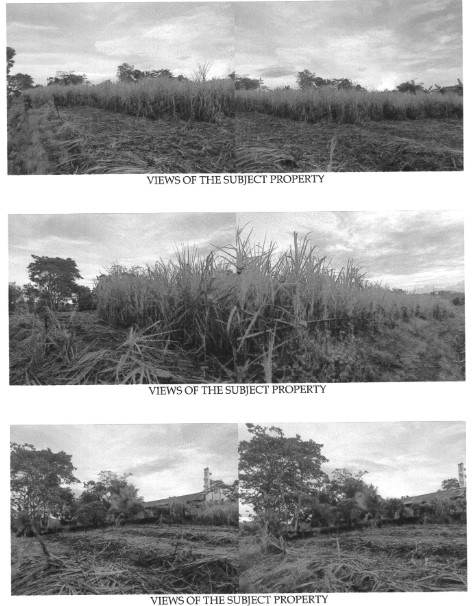 Foreclosed Agricultural Lot For Sale in Barangay Ayuyan, (Buray), Passi ...